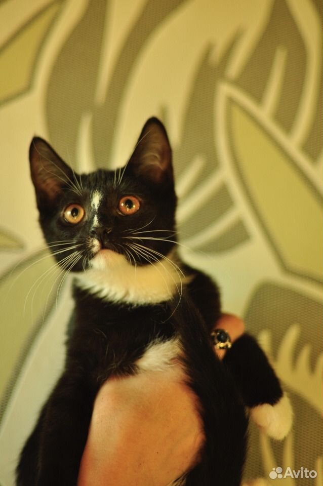 Девочка 3 мес