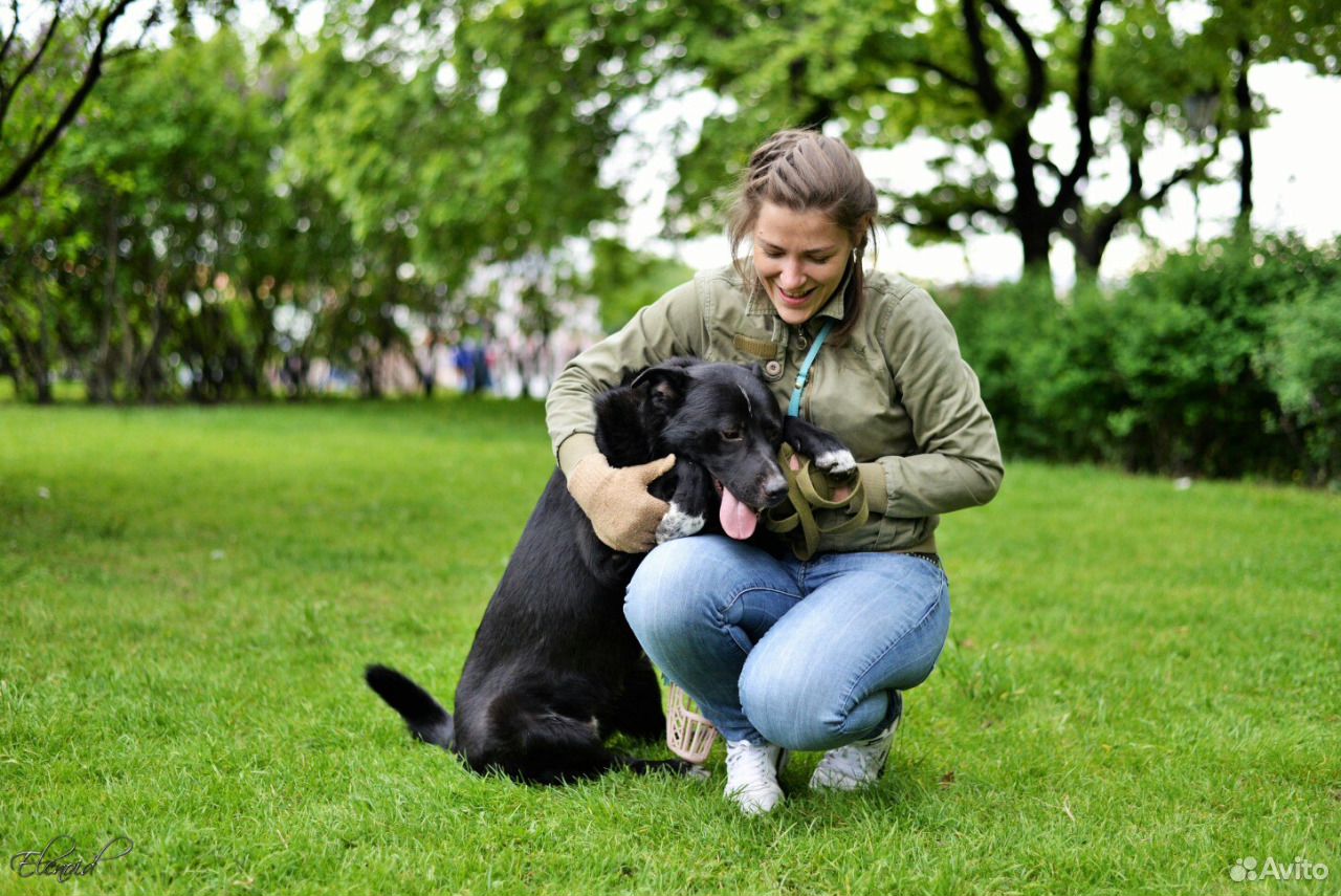 Щенок Чарли ищет дом