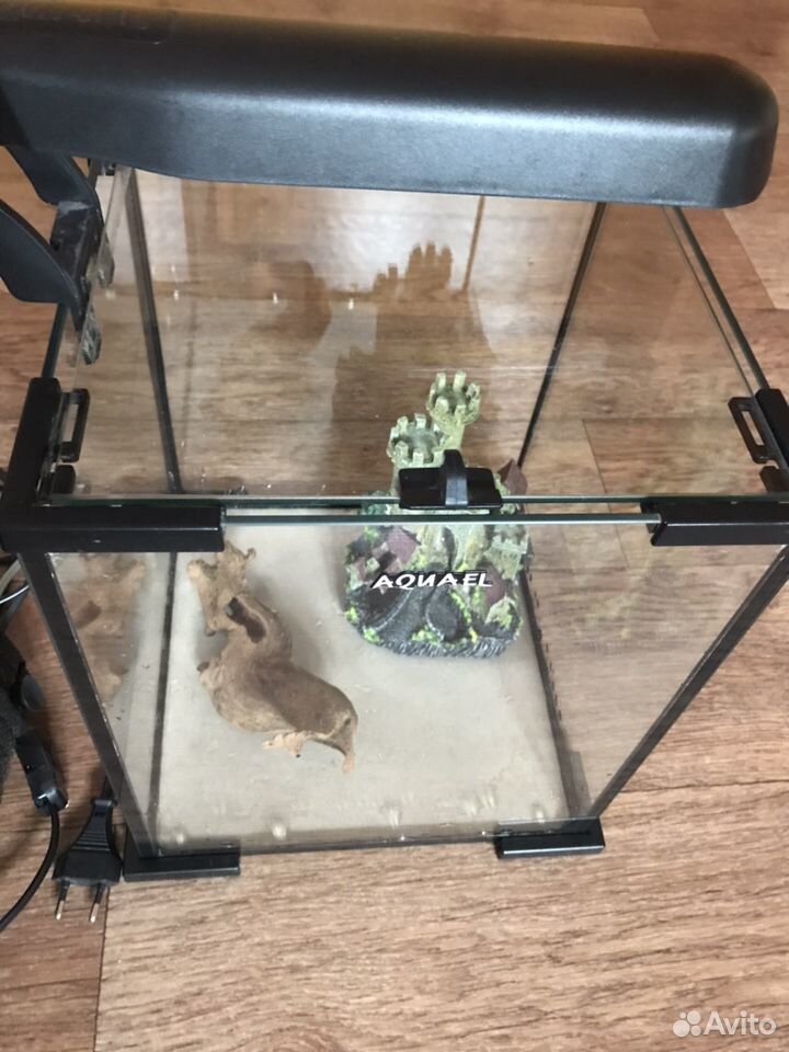 Аквариум aquael