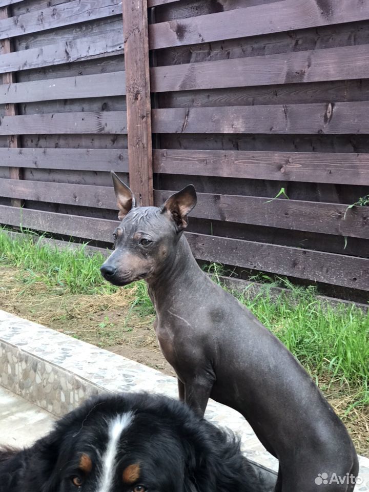 Малышка голышка
