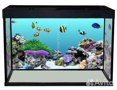 Новый аквариум + крышка