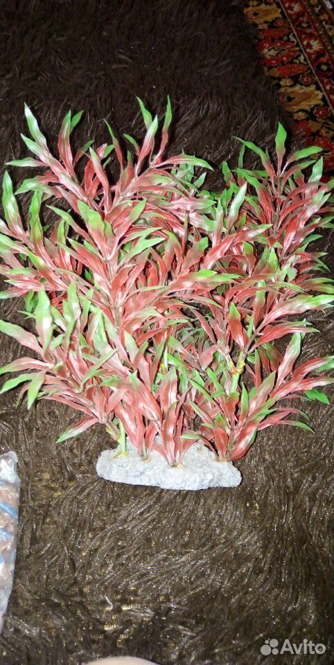 Для аквариума