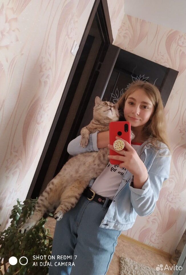 Кот Тайсон