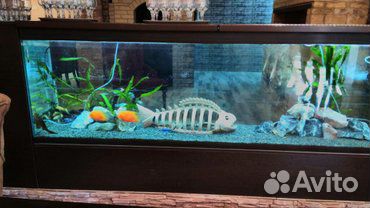 Аквариум 300 - 1500 литров