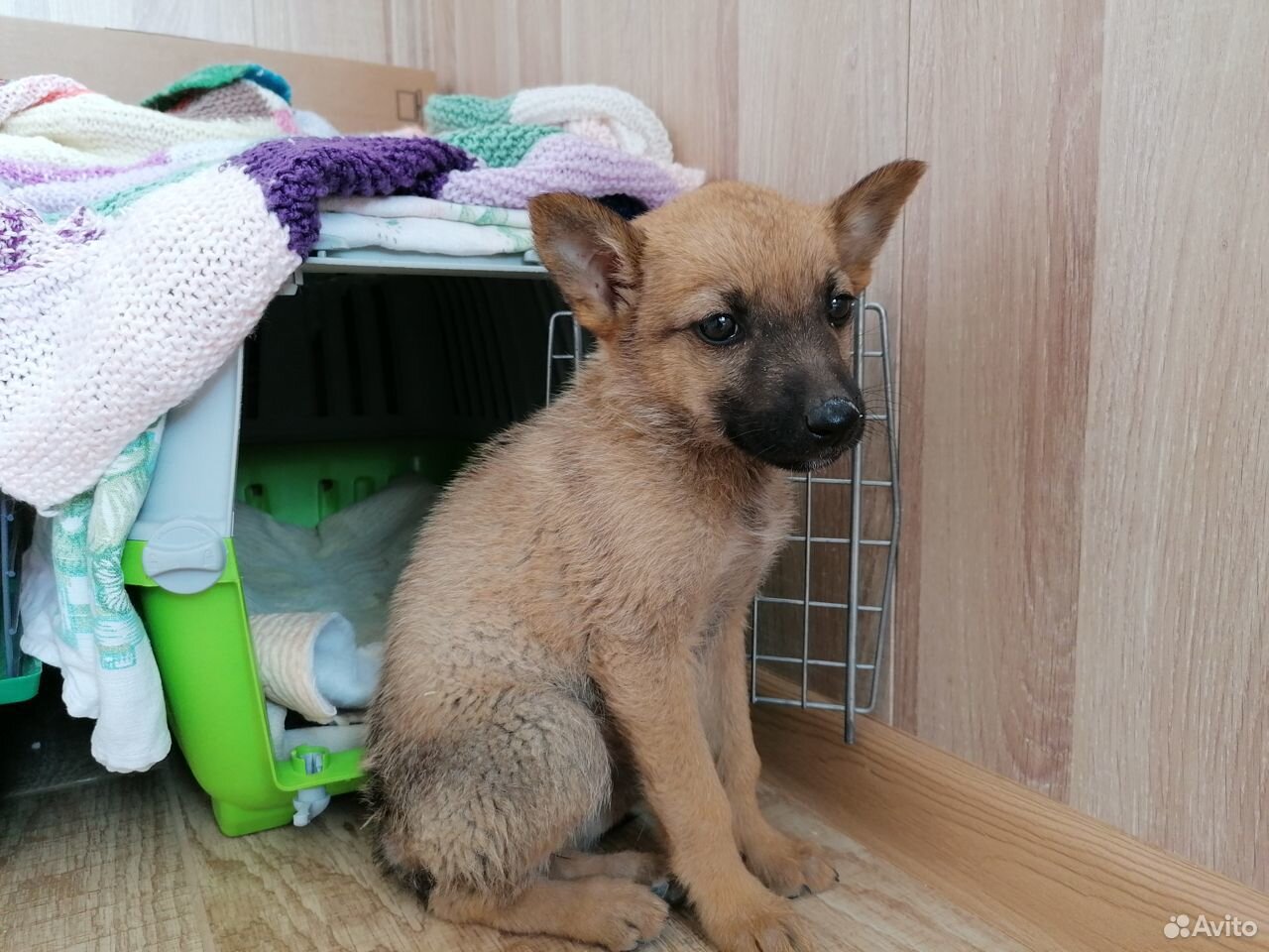 Бросили ребёнка на дороге