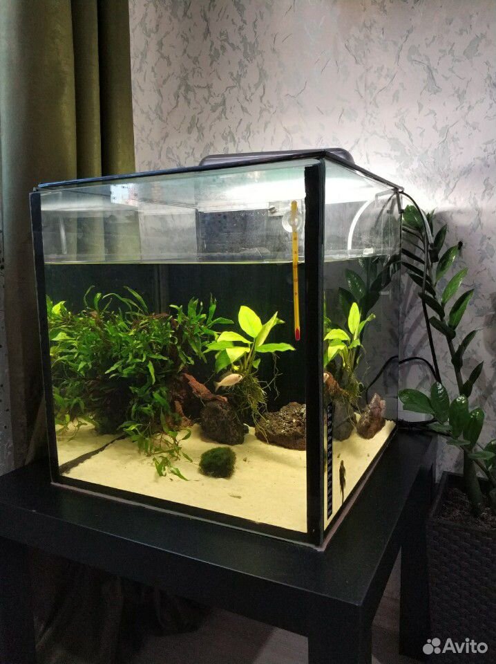 Аквариум кубик 60л