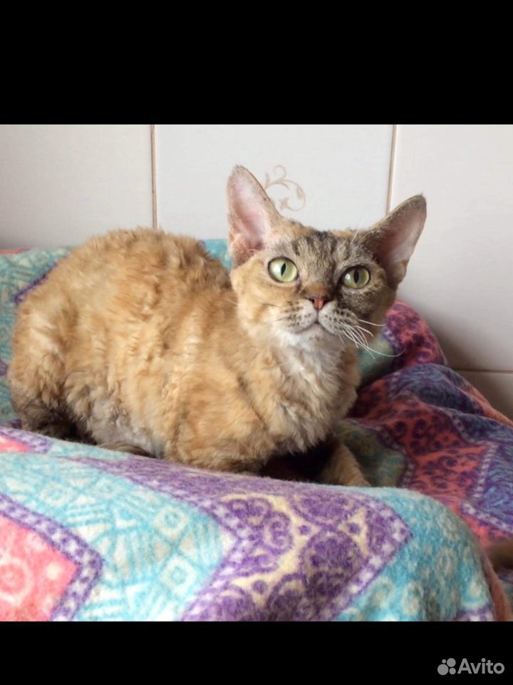 Барби в шикарной шубке