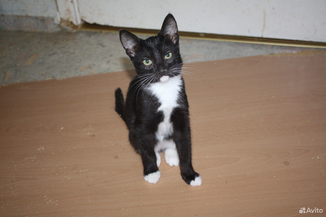 Как му му 2 мес