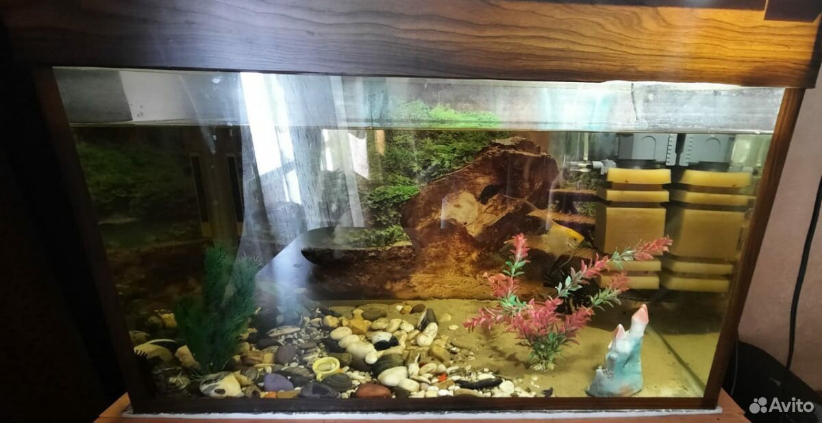 Аквариум