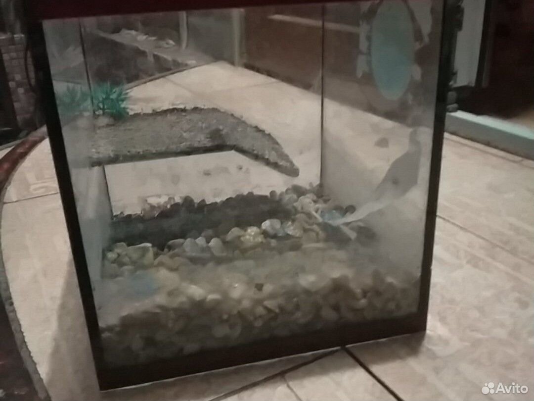 Террариум для черепашек 15x15