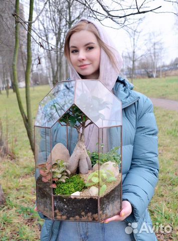 Флорариум Африка с бонсай в наличии