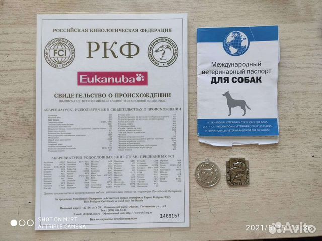 Кобель вязка