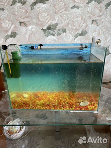 Аквариум