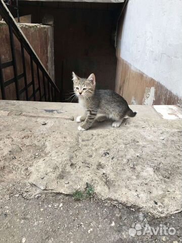 Мальчик в добрые руки