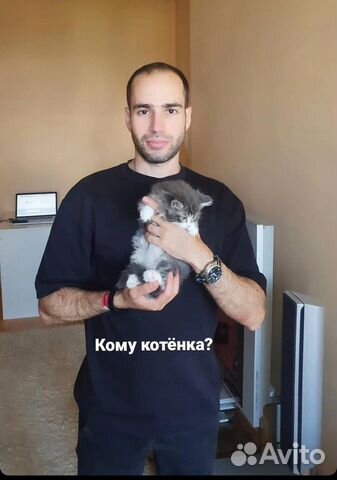 Самое милое существо на свете (котёнок)