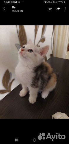 Кошечка - "Бусинка"