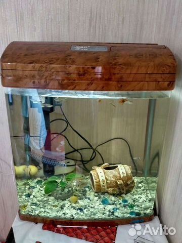 Аквариум джеба 338