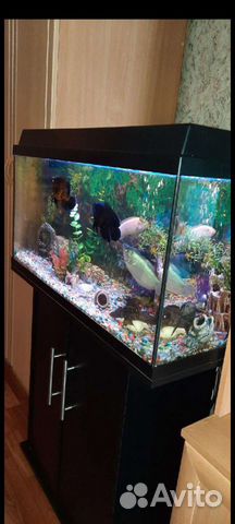 Аквариум с тумбой
