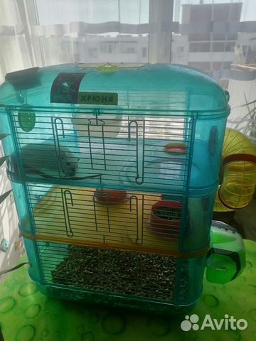 Мышка ручная с клеткой