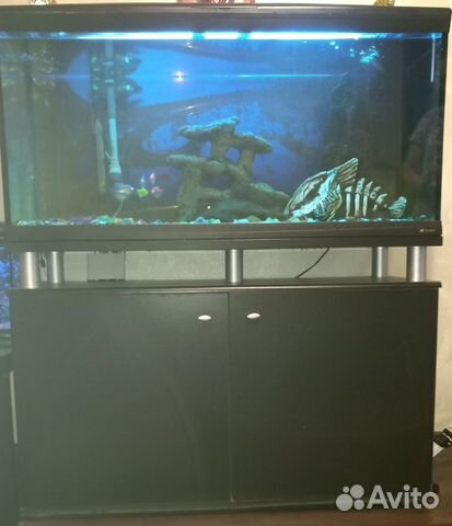 Аквариум с тумбой и фильтром cayman ferplast 230
