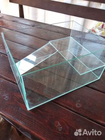 Домашние животные