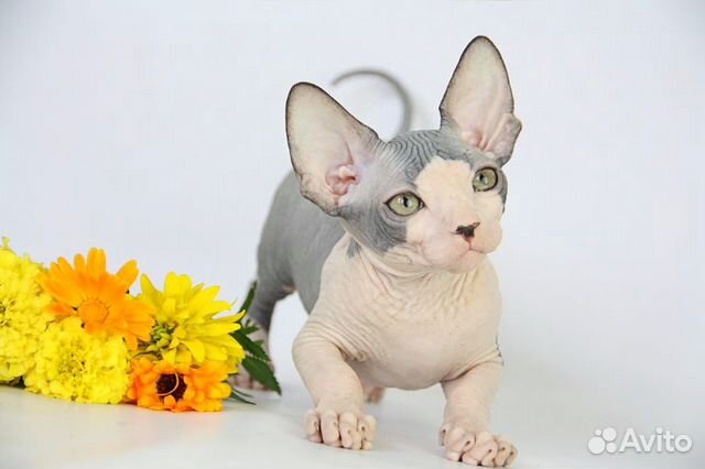 Ямайка - позитив на целый день