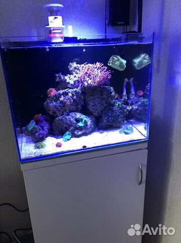 Морской аквариум 80 литров