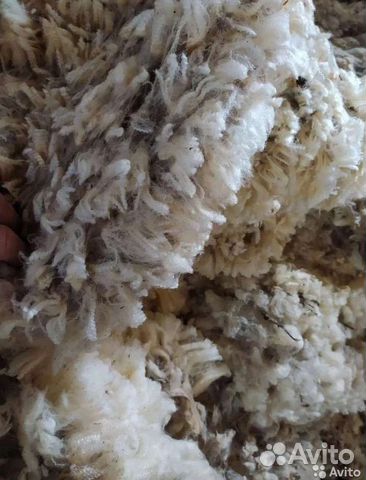 Шерсть меринос