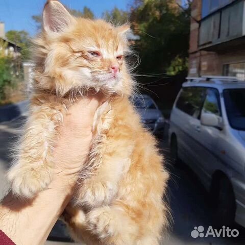 Солнышко