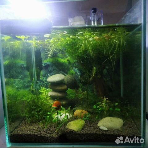 Нано аквариум
