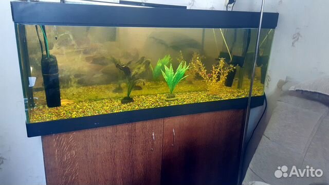 Аквариум