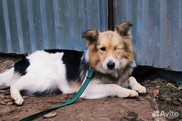 Особенный мальчик Мишелька хочет обрести дом