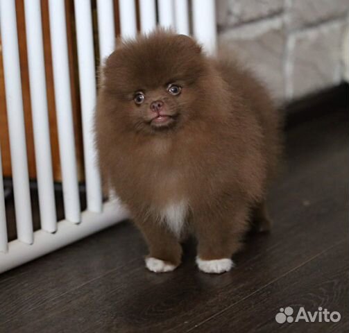 Очаровашка