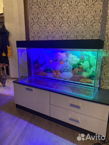 Аквариум