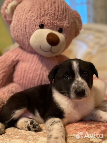 Подарите дом