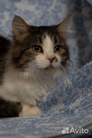 Мальчик с забавным пятнышком на носу