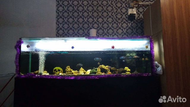 Аквариум 530 литров