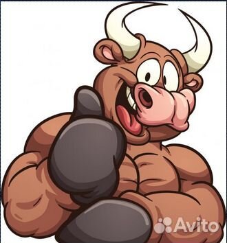 Продам бычка1.9 года