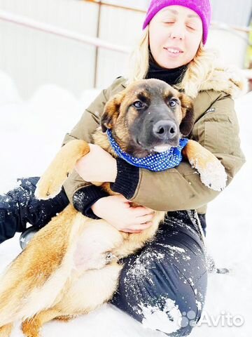 Добрый ласковый и игривый малыш Рей, отдам