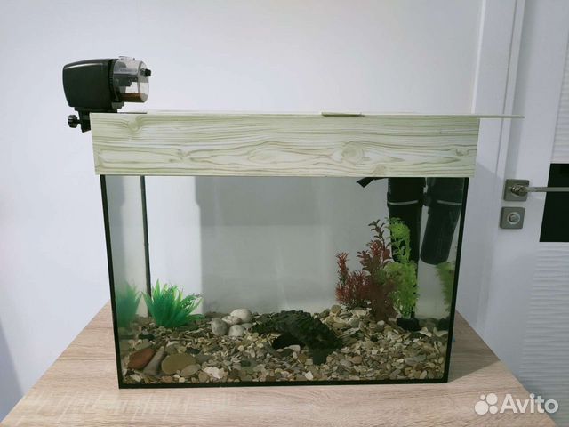 Аквариум с полным комплектом атрибутов