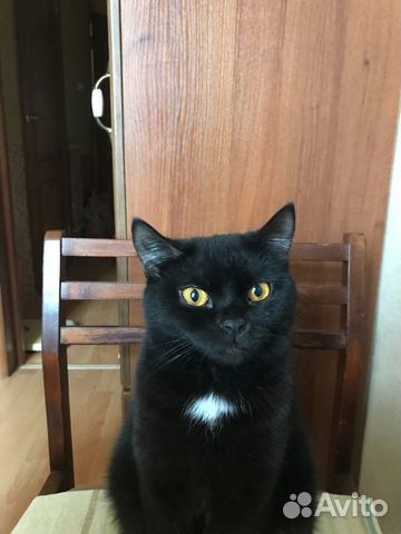 Ночка