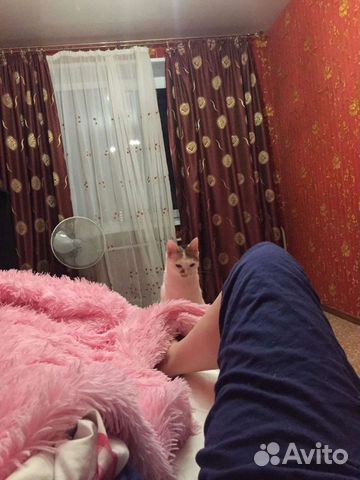 Кошечка