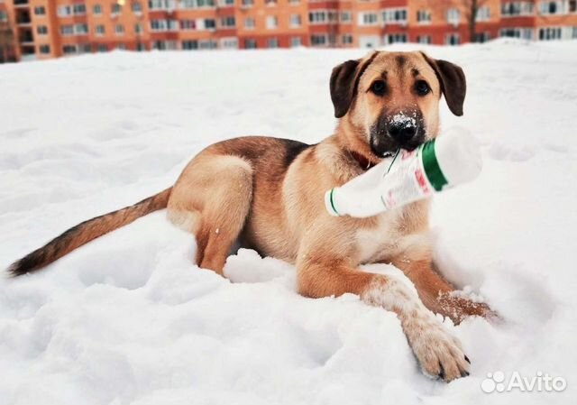 Чудо чудное и не кому не нужное