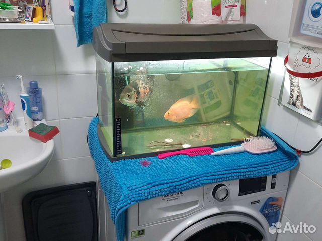 Аквариум тетра tetra 60 л