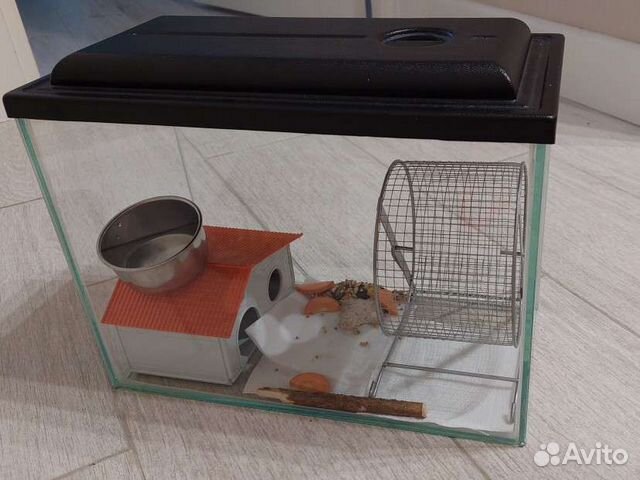 Клетка(аквариум) и джунгарский хомяк