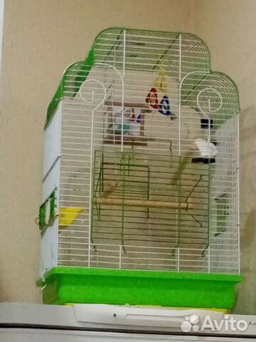 Попугай с клеткой