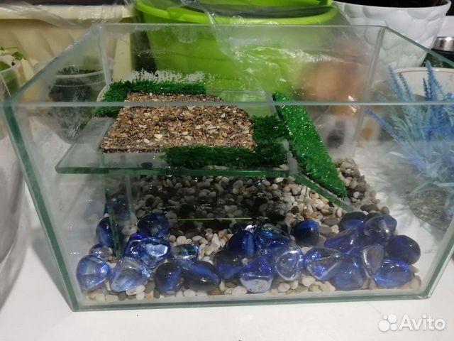 Аквариум и все для аквариума