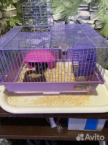 Декоративные мышки