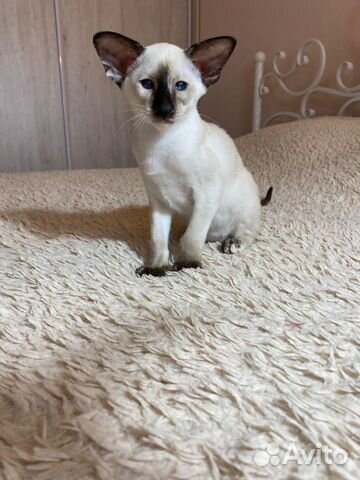 Экстримальная девочка