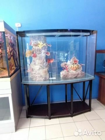 Аквариум огромный встраиваемый на каркасе 800 л
